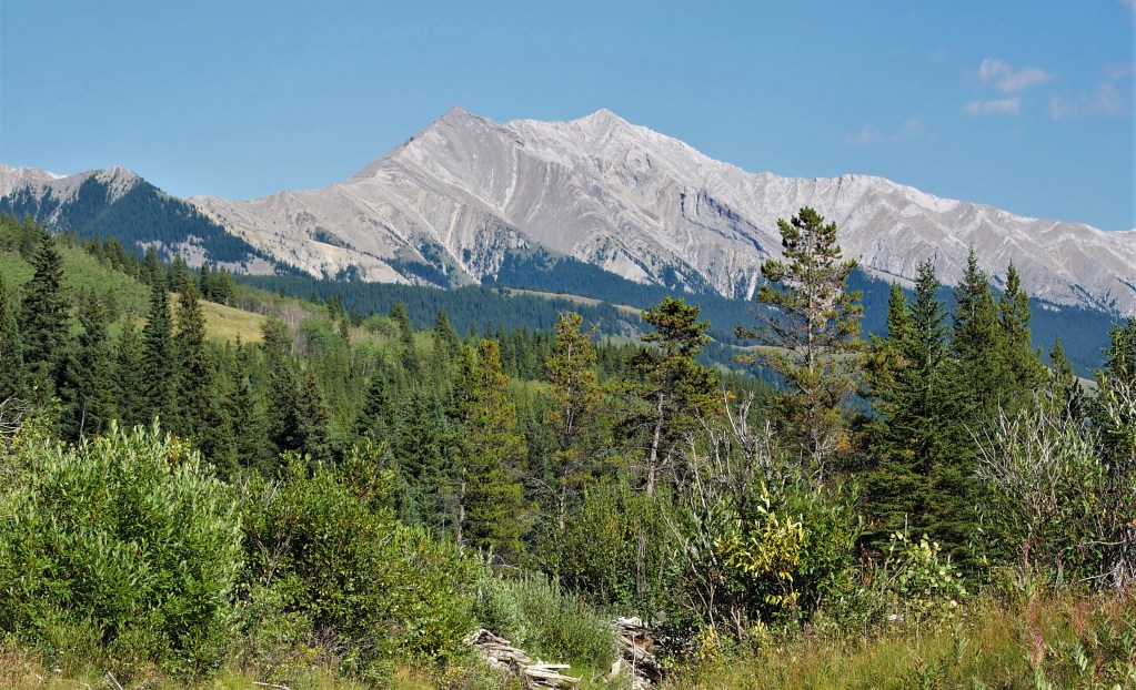 Exploring Alberta's Wildland Provincial Parks: Don Getty - The Wild ...